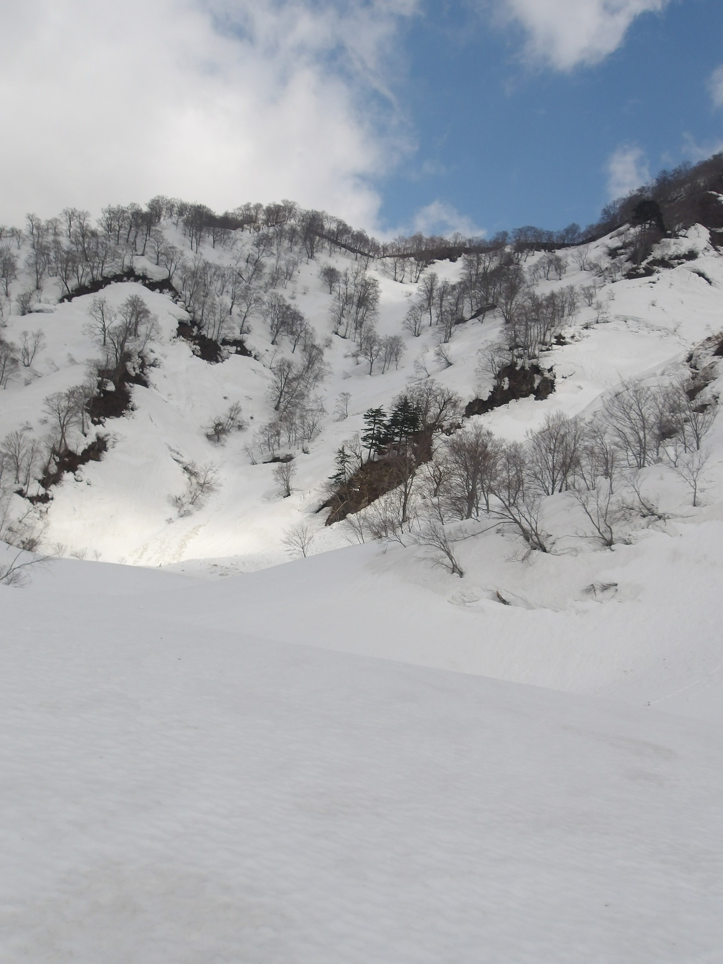 3/23 BCスキー 頼母木山 （西俣尾根）: M.t&PARA